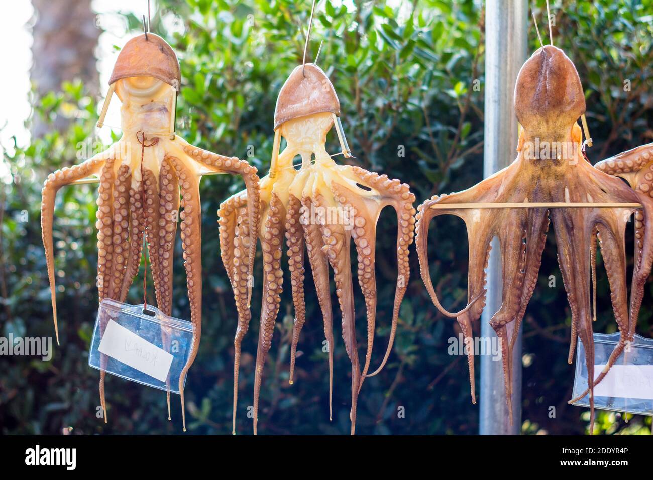 Himakajima island hi-res stock photography and images - Alamy