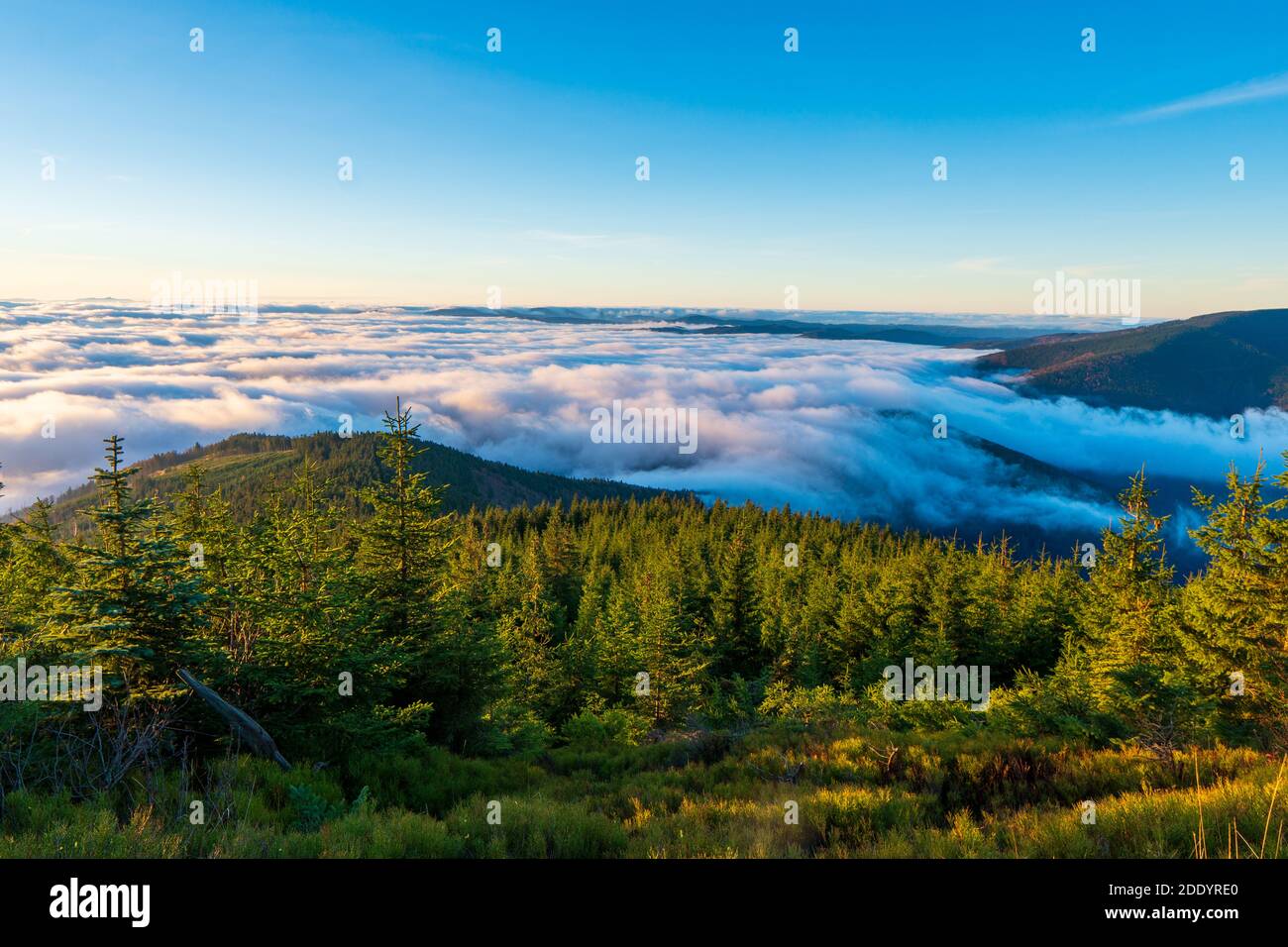 Inversion in the valley during sunrise with mountain ridge in the ...