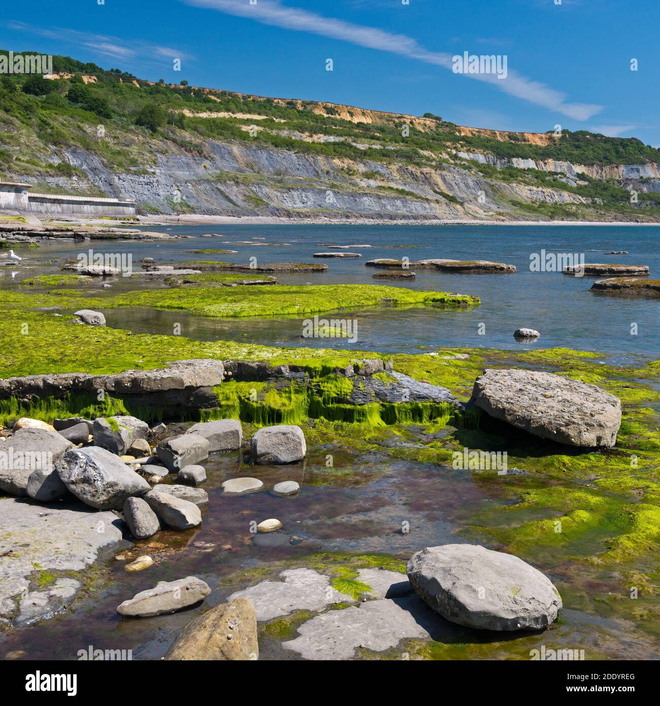 The rock ledges exposed at low tide in front of Church Cliffs at the ...
