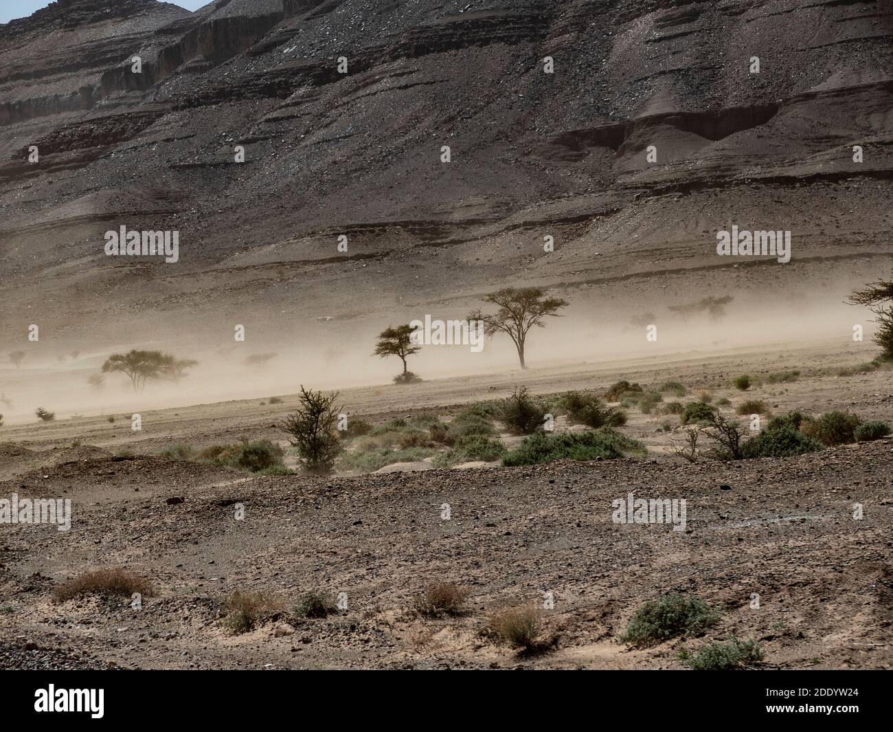 Sahara desert sand storm hi-res stock photography and images - Alamy