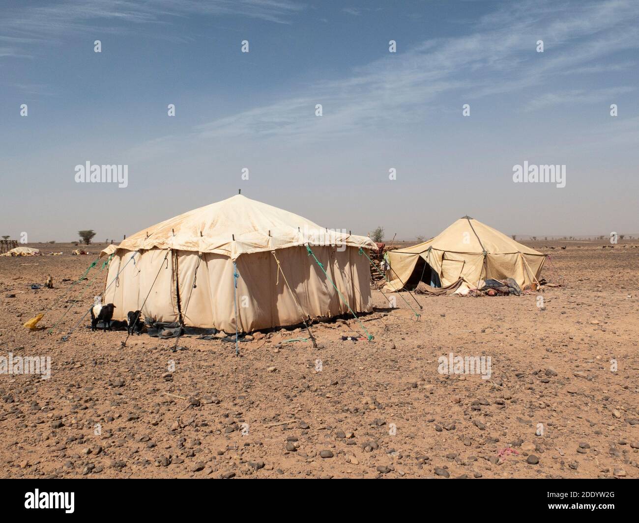 Beduin tents in the desert of southern Morocco Stock Photo - Alamy