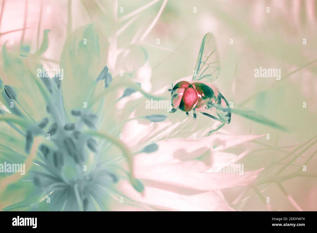 Infrared light hi-res stock photography and images - Alamy