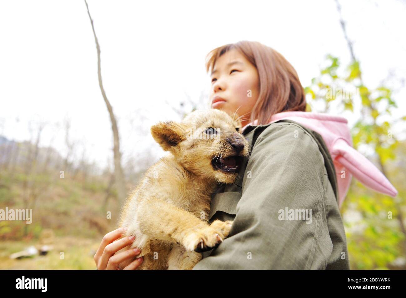 The doctors are taking health examination for wild animals in Qingdao ...