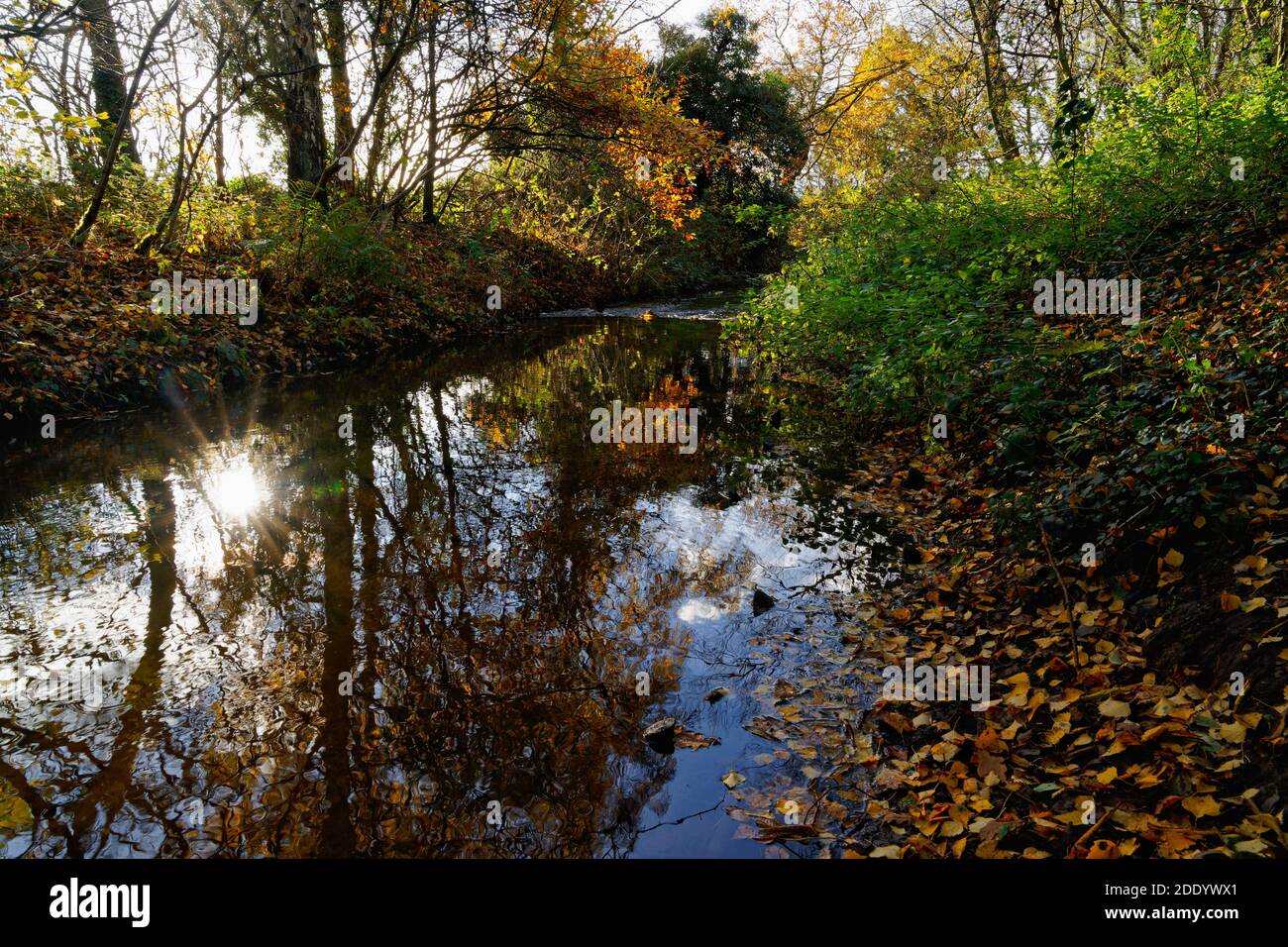 Low autumn sun creates a sunburst as it reflects off a the water of a ...