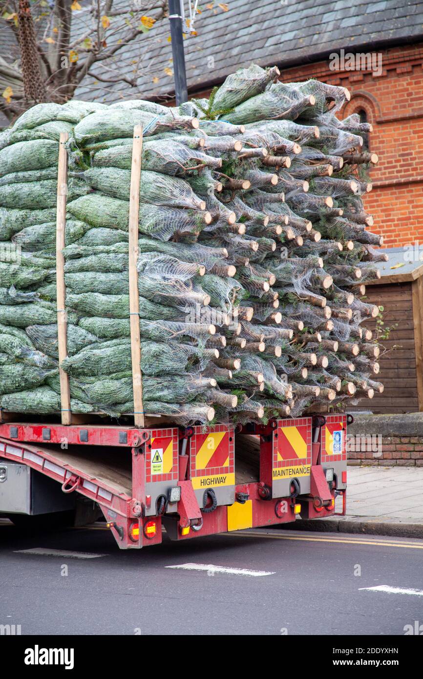 Lorry with trees hi-res stock photography and images - Alamy