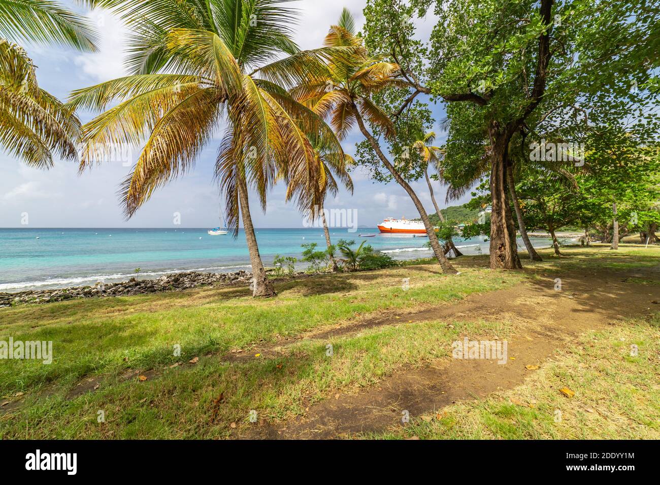 Saint Vincent and the Grenadines, Britannia bay beach, coconut palms ...