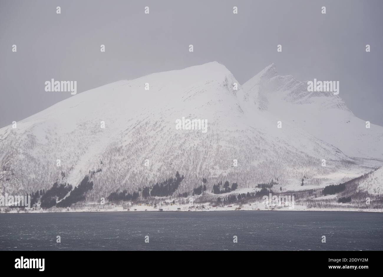 Winter landscape of breathtaking fjords scenery of Senja island in ...