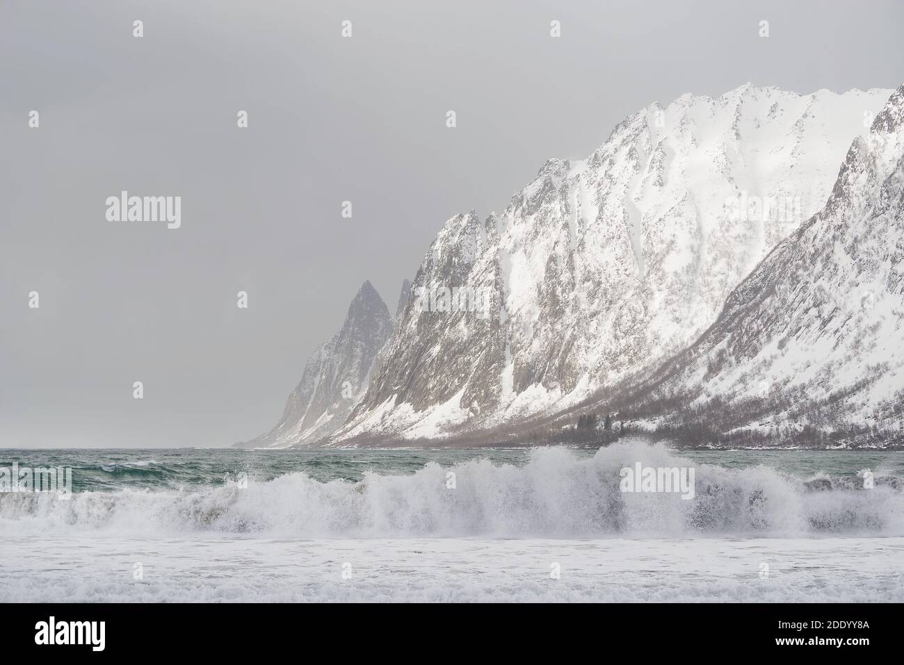 Winter landscape of breathtaking fjords scenery of Senja island in ...