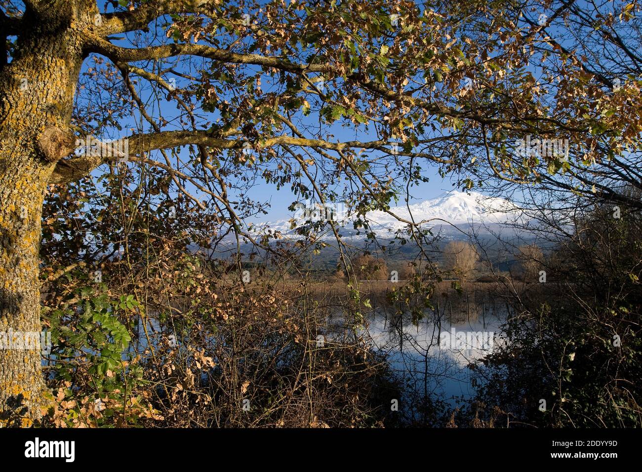 Gurrida lake hi-res stock photography and images - Alamy