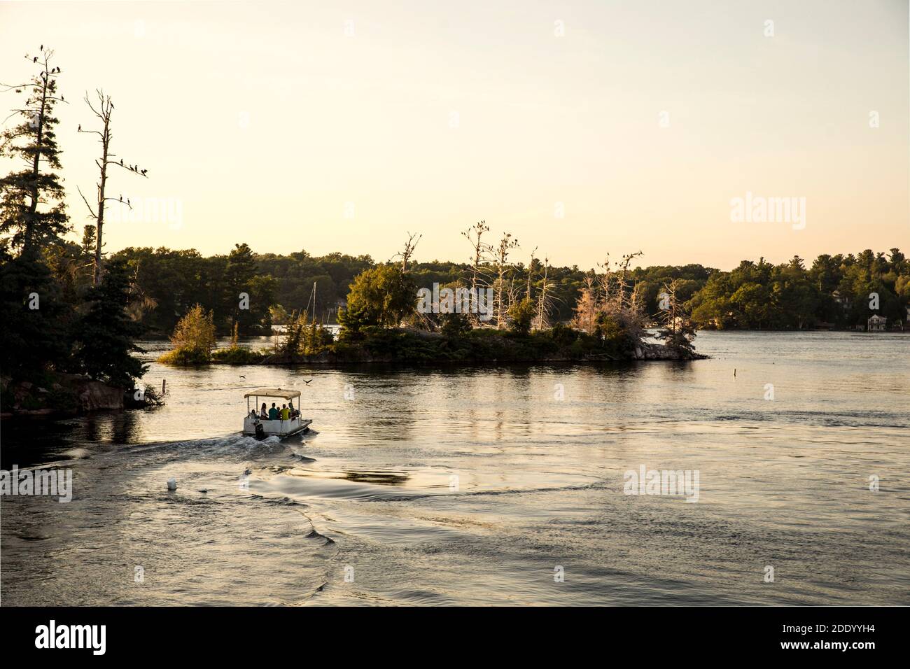 Landscape of the Thousand Islands archipelago, St. Lawrence River ...