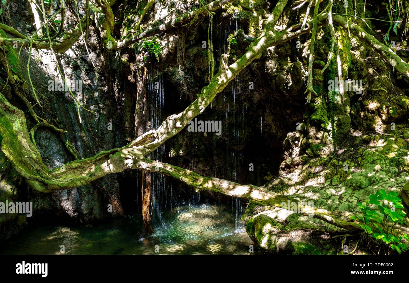Water jets in the Baths of Aphrodite waterfall on the island of Cyprus ...