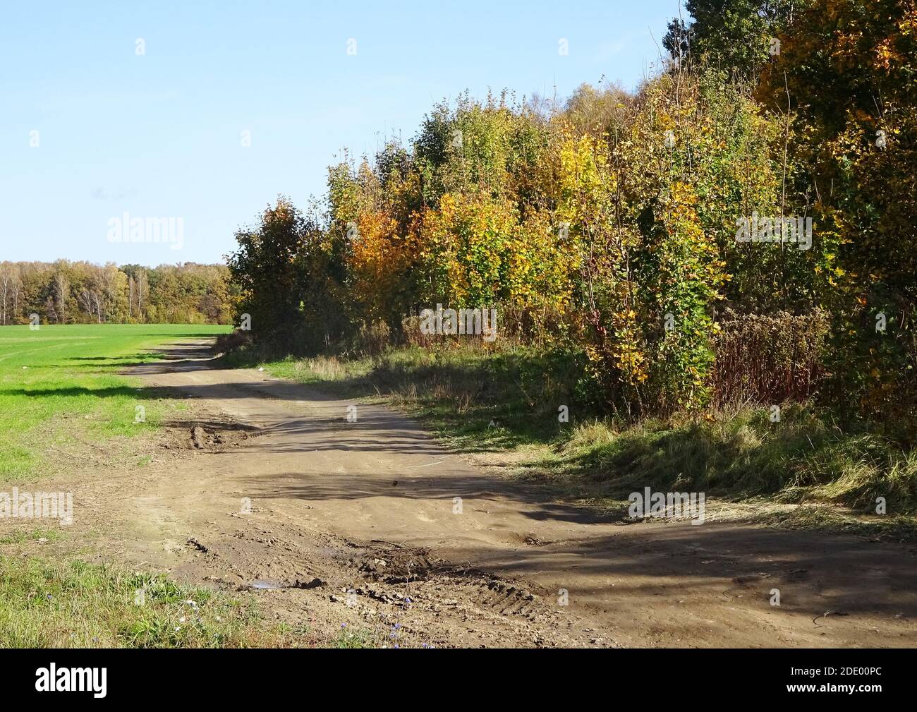 empty dirt road in the field on sunny summer day Stock Photo - Alamy