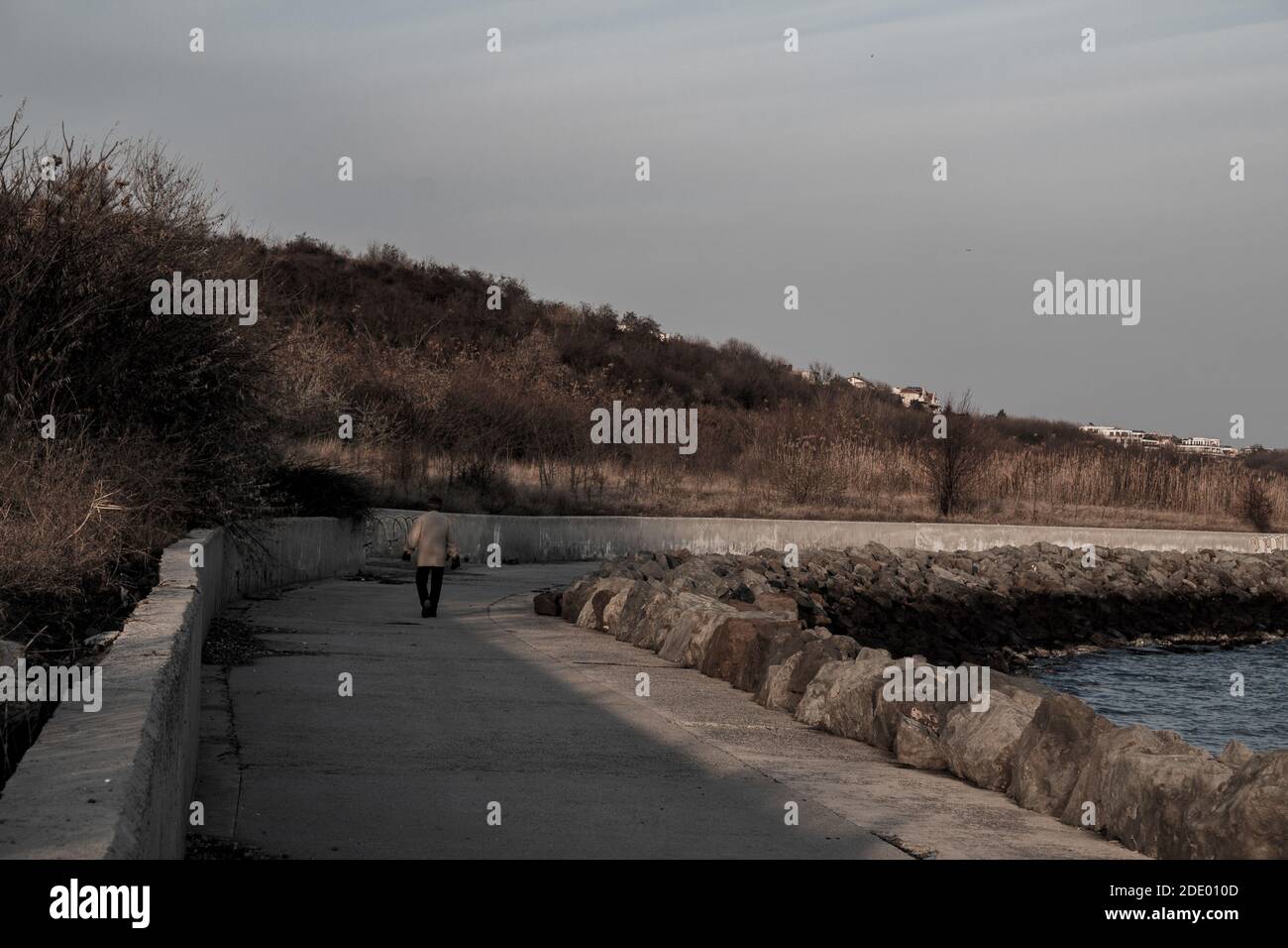 Daily walk hi-res stock photography and images - Alamy