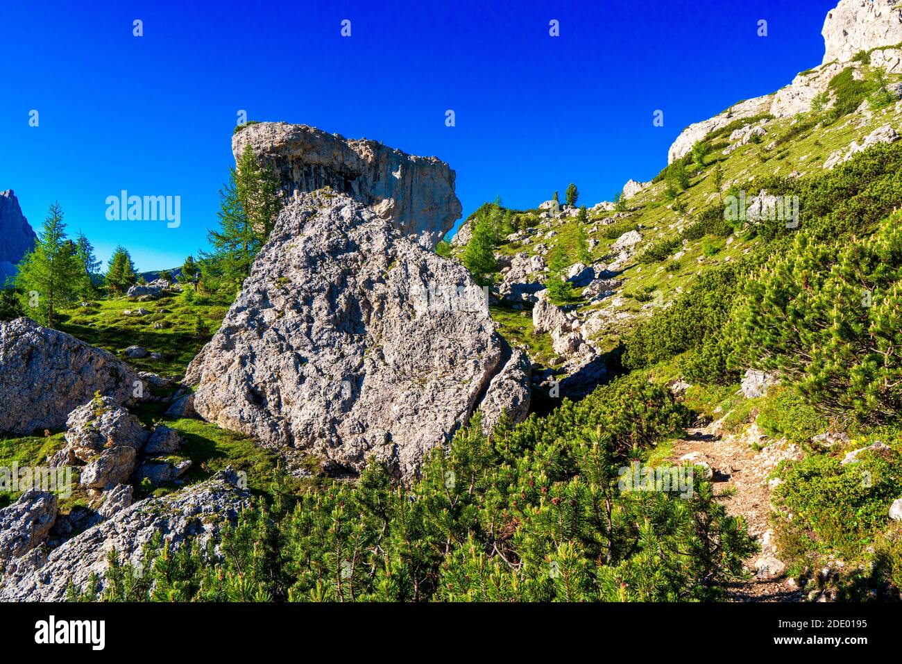 Close up of a small piece of rock. Dolomites, Italy. Selective focus ...