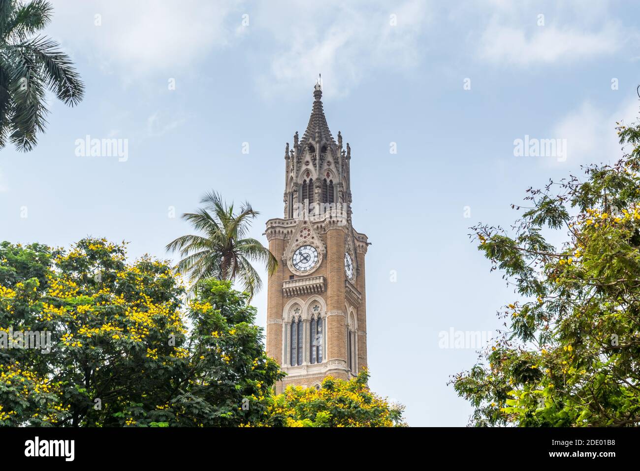 Clock tower of the University of Mumbai (University of Bombay), one of ...