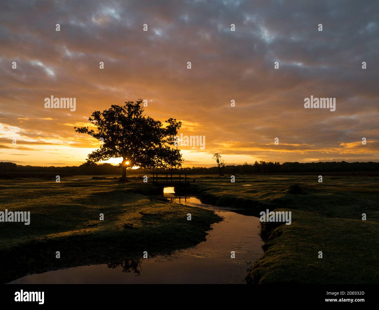 Stream new forest national park hi-res stock photography and images - Alamy