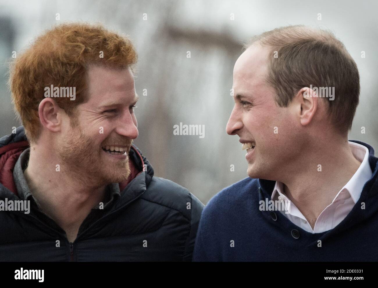 Prince William And Harry Portrait