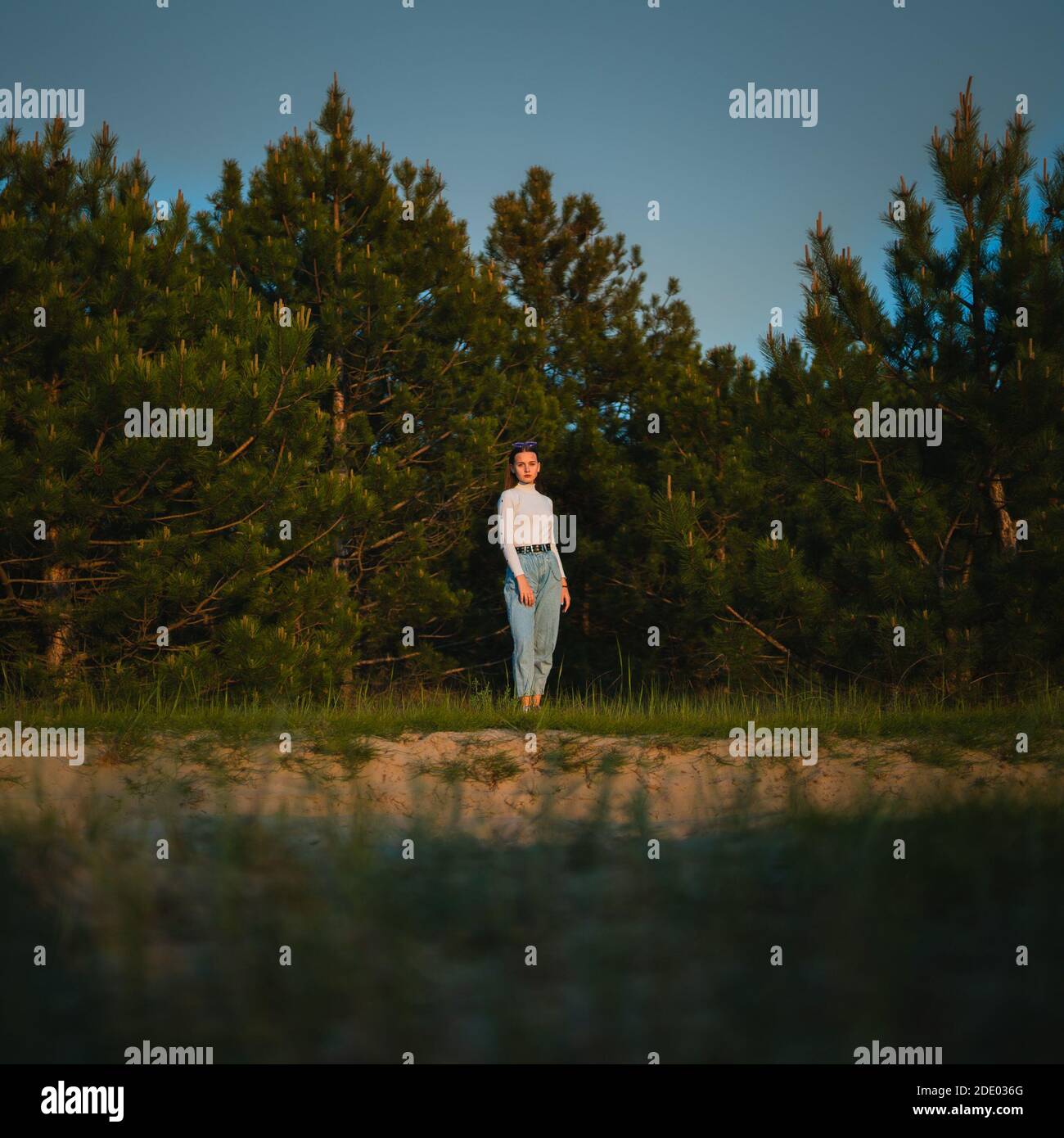 Light leak in forest hi-res stock photography and images - Alamy
