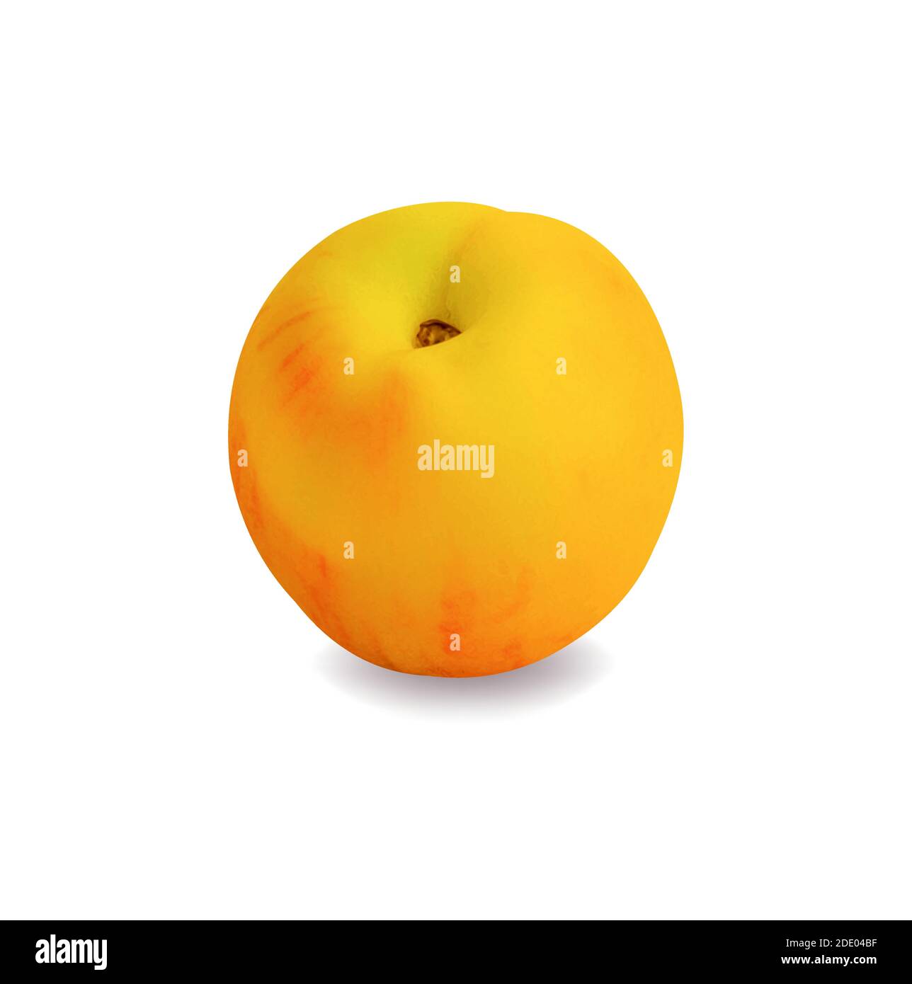 Mellow harvest Stock Vector Images - Alamy