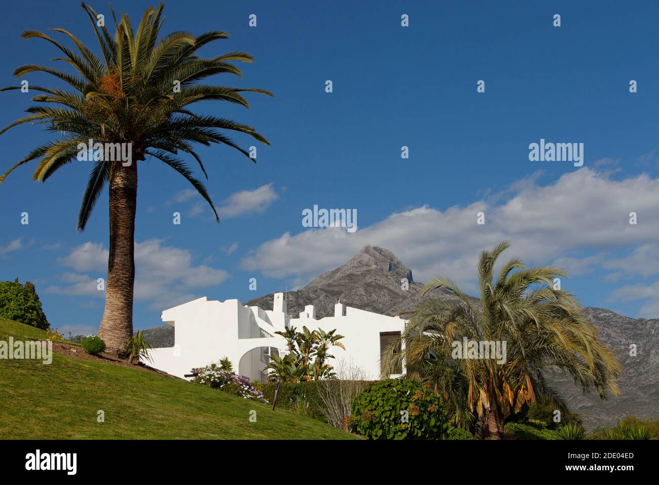 Terraces olive trees hi-res stock photography and images - Alamy