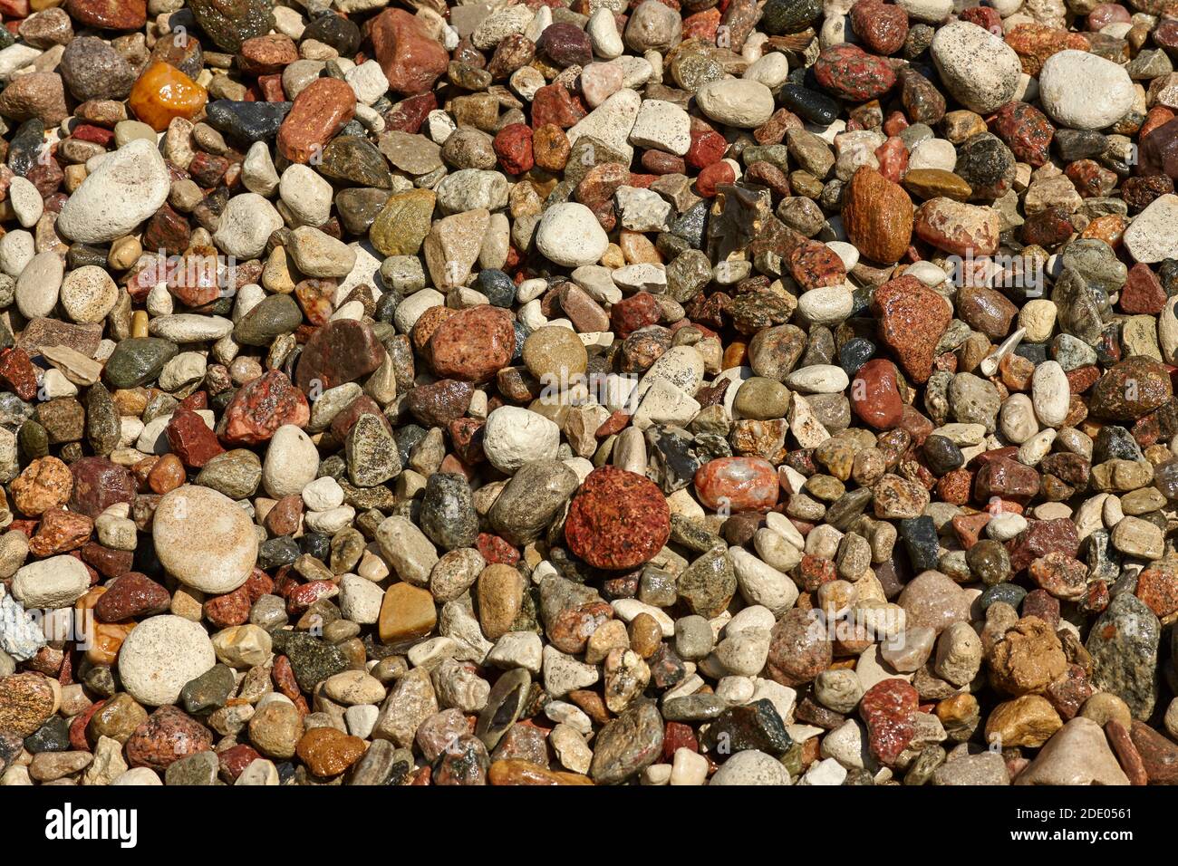 wet shiny colorful pebbles in the sun, gravel Stock Photo - Alamy
