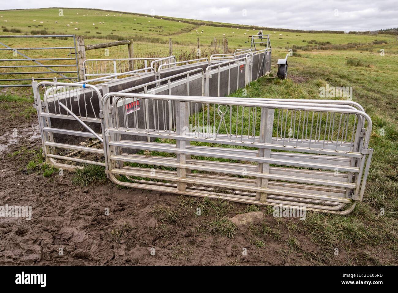 What Is Livestock Management System at Erica Laforge blog