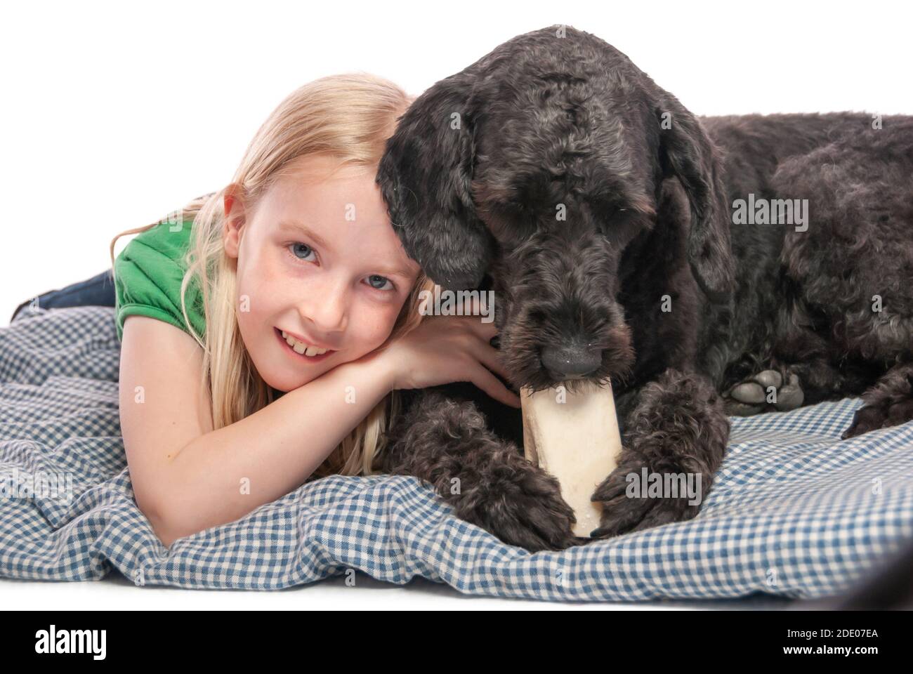 Close up of a little girl cuddling a labradoodle chewing on a bone ...