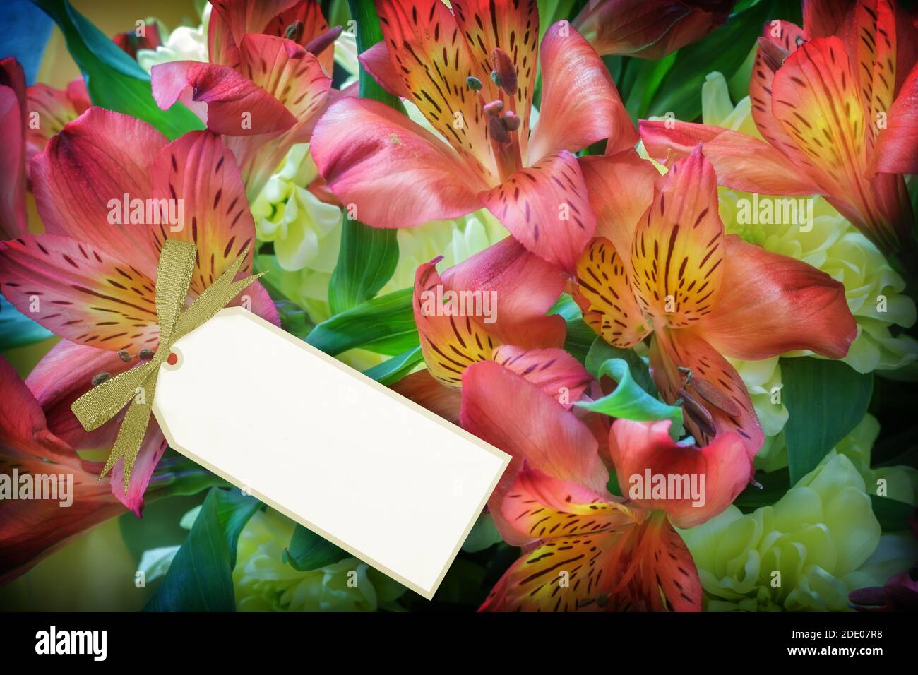 A bouquet of flowers with an empty greeting card Stock Photo - Alamy