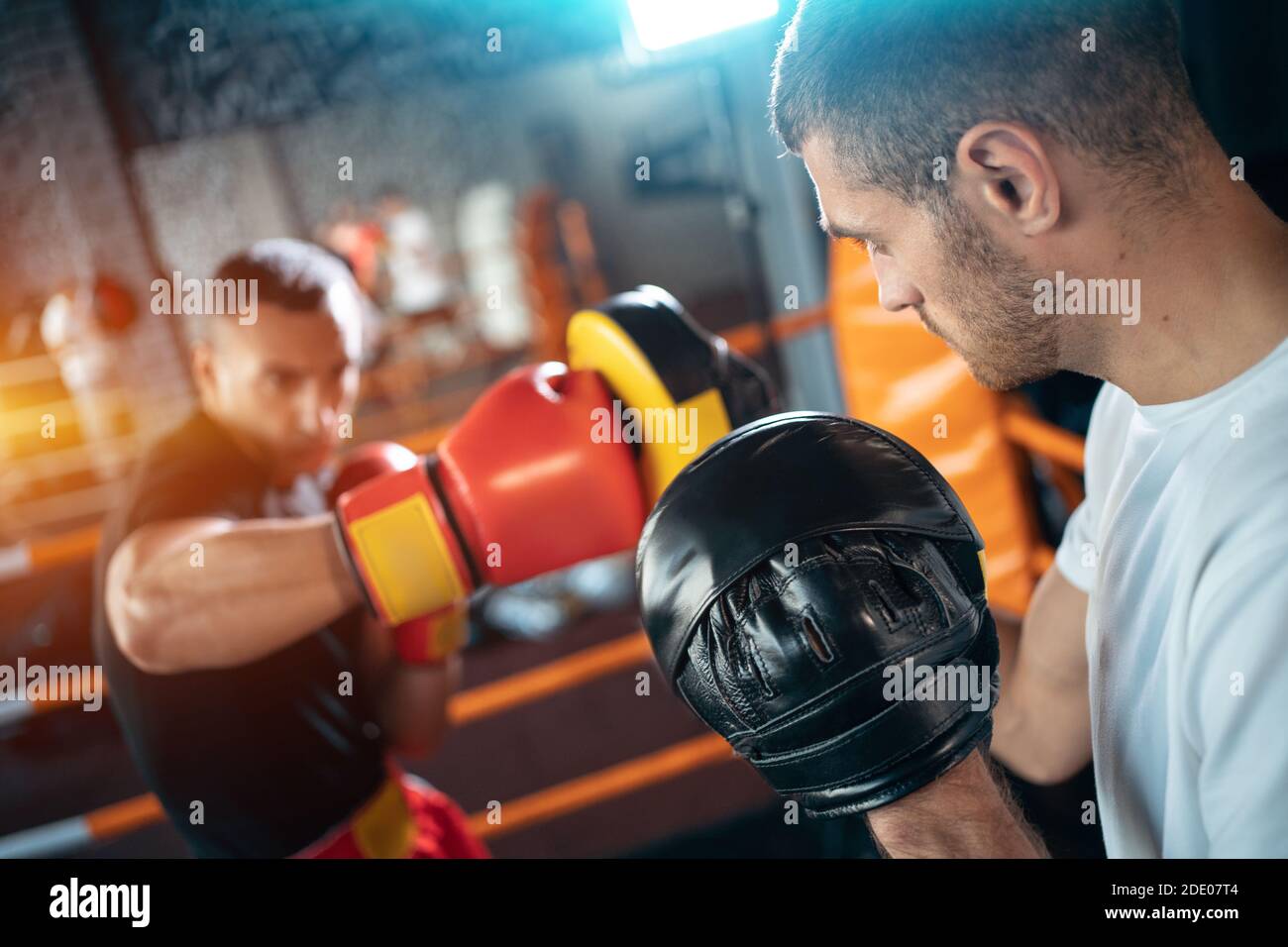 two muscle boxers sport man training and fighting on boxing ring at gym ...