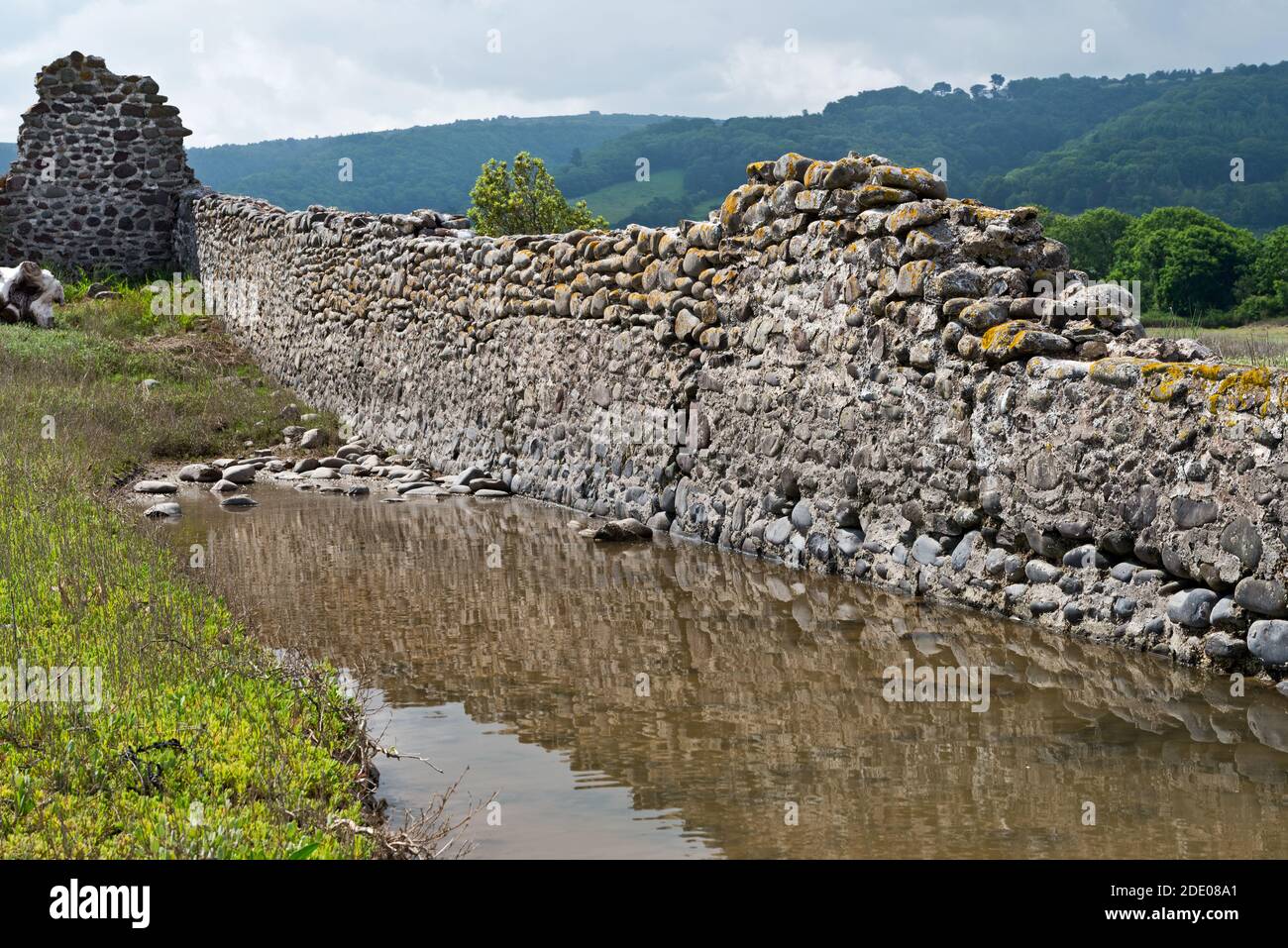 old stone walls in the salt marshes at Porlock on the Somerset Coast ...