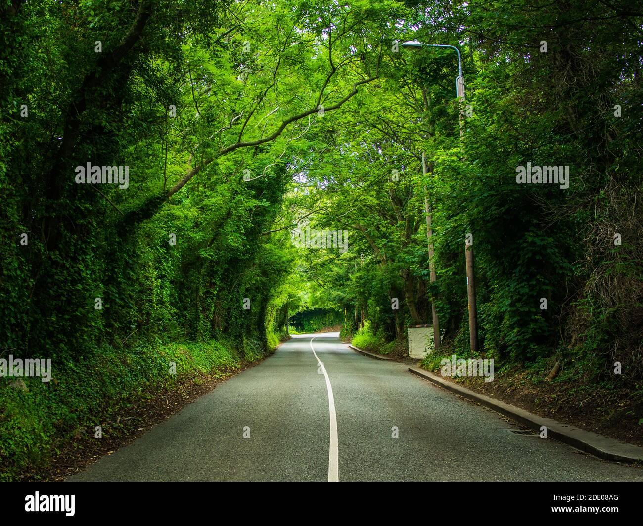Rural country road in Dublin Stock Photo - Alamy
