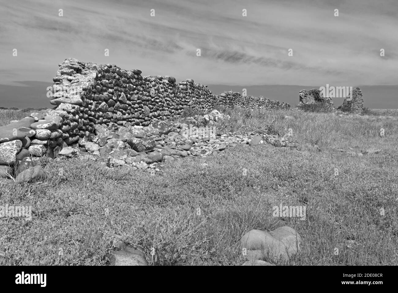 old stone walls in the salt marshes at Porlock on the Somerset Coast ...
