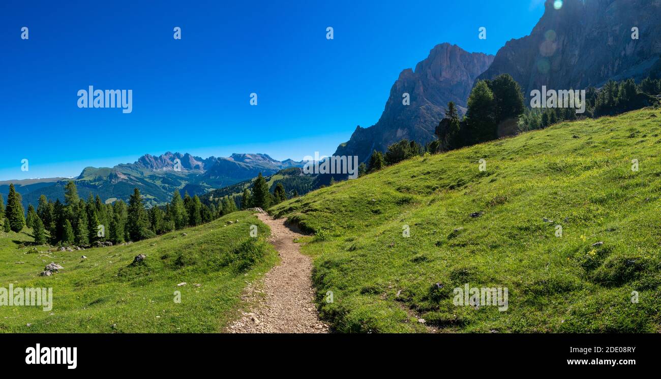 Incredible nature landscape in Dolomites Alps. Spring blooming meadow ...