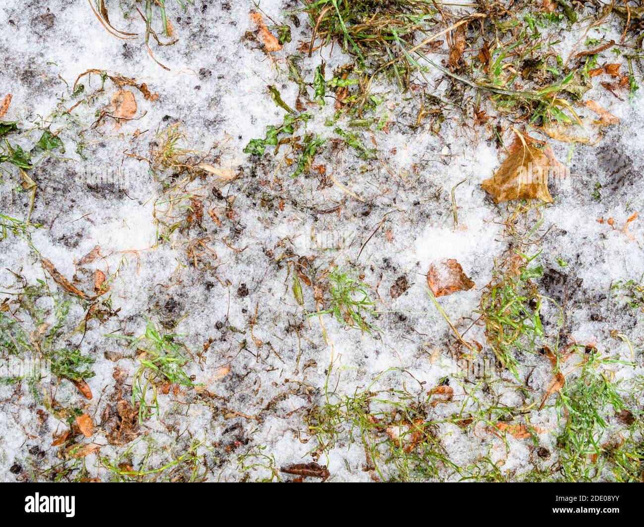top view of ice-covered frozen city lawn after freezing rain on cold ...
