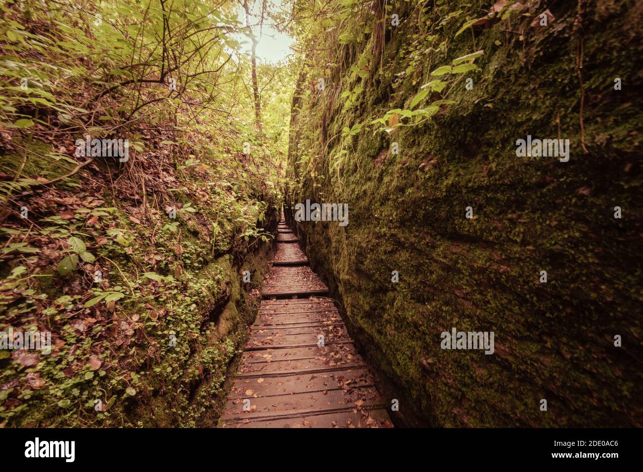 The narrow wooden way between high rocks Stock Photo - Alamy