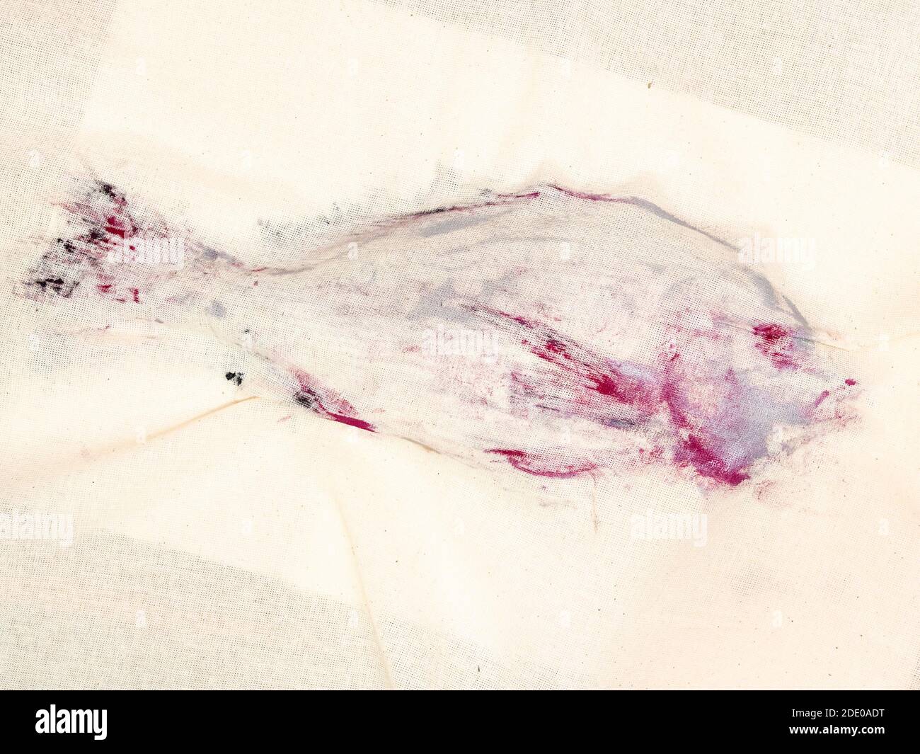 Calico fish hi-res stock photography and images - Alamy