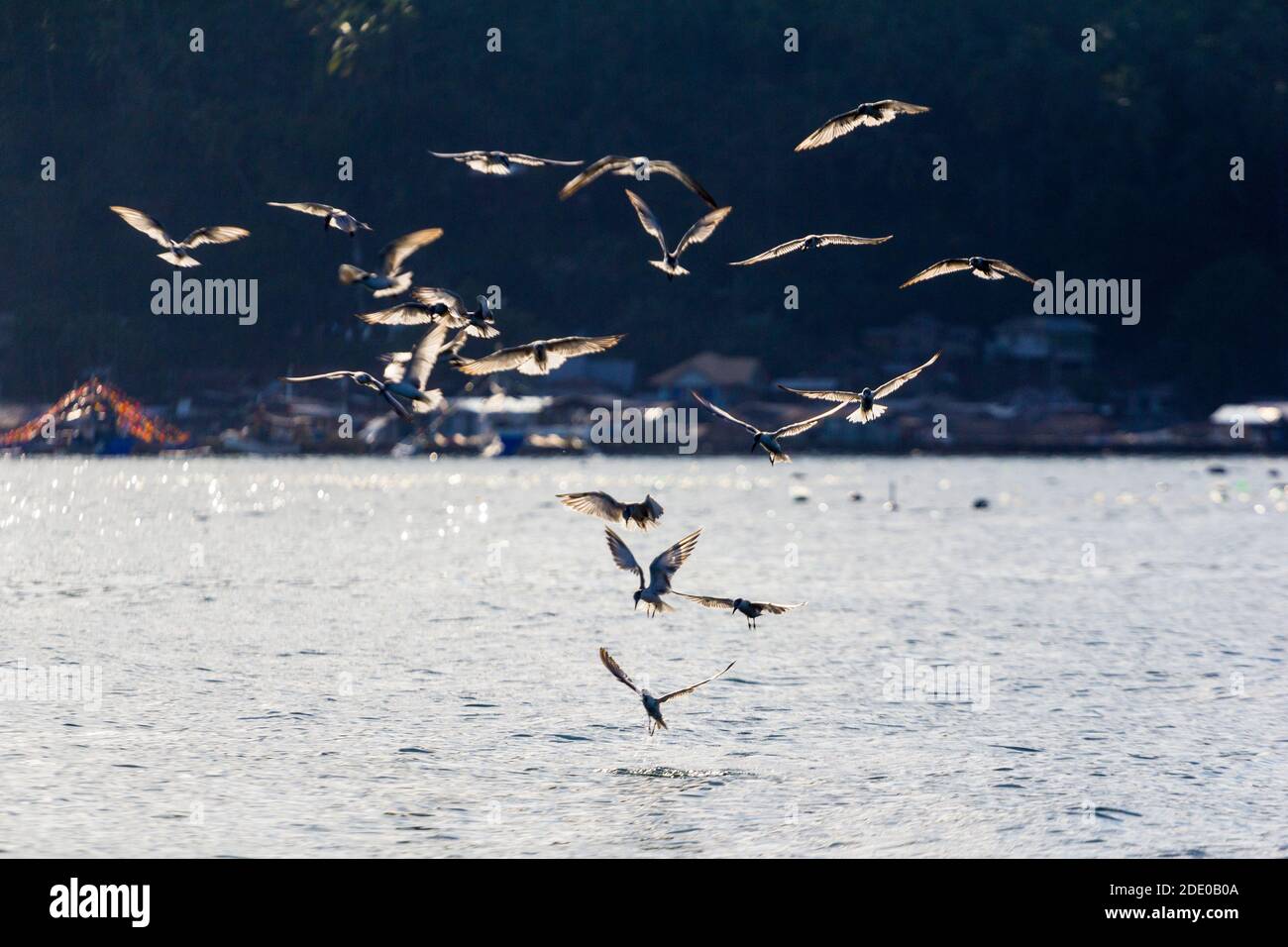 Pagadian city mindanao city hi-res stock photography and images - Alamy