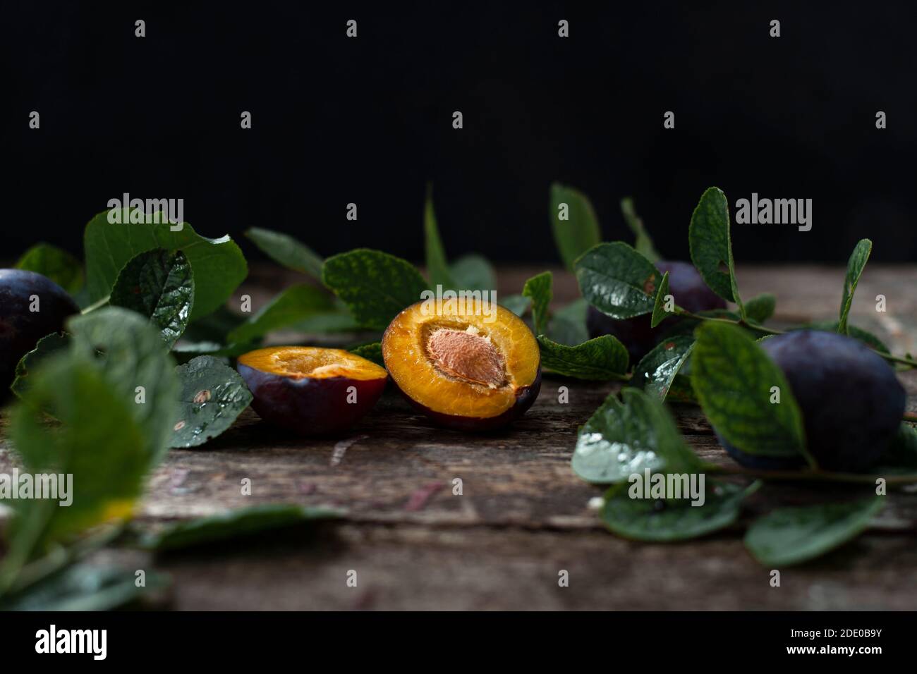 Beauty still life photo of ripe plum. Countryside scene with organic ...