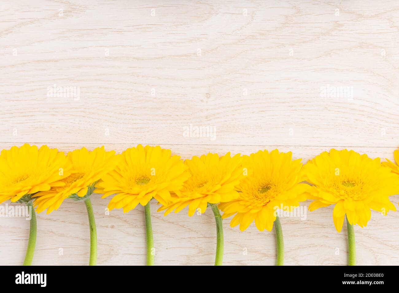 Bottom of flowers hi-res stock photography and images - Alamy
