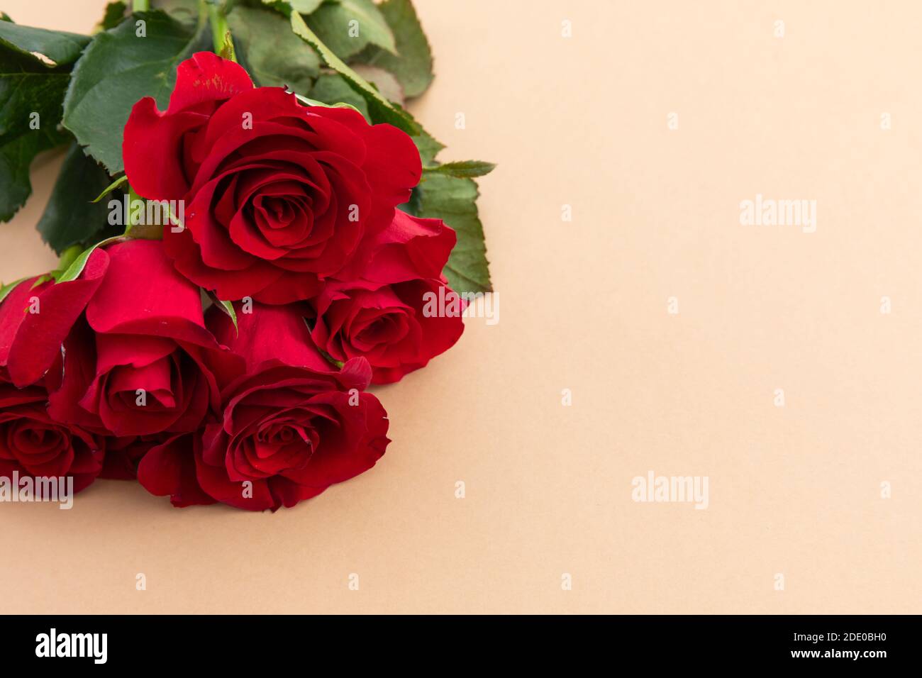Bunch of red roses lying on orange background Stock Photo - Alamy