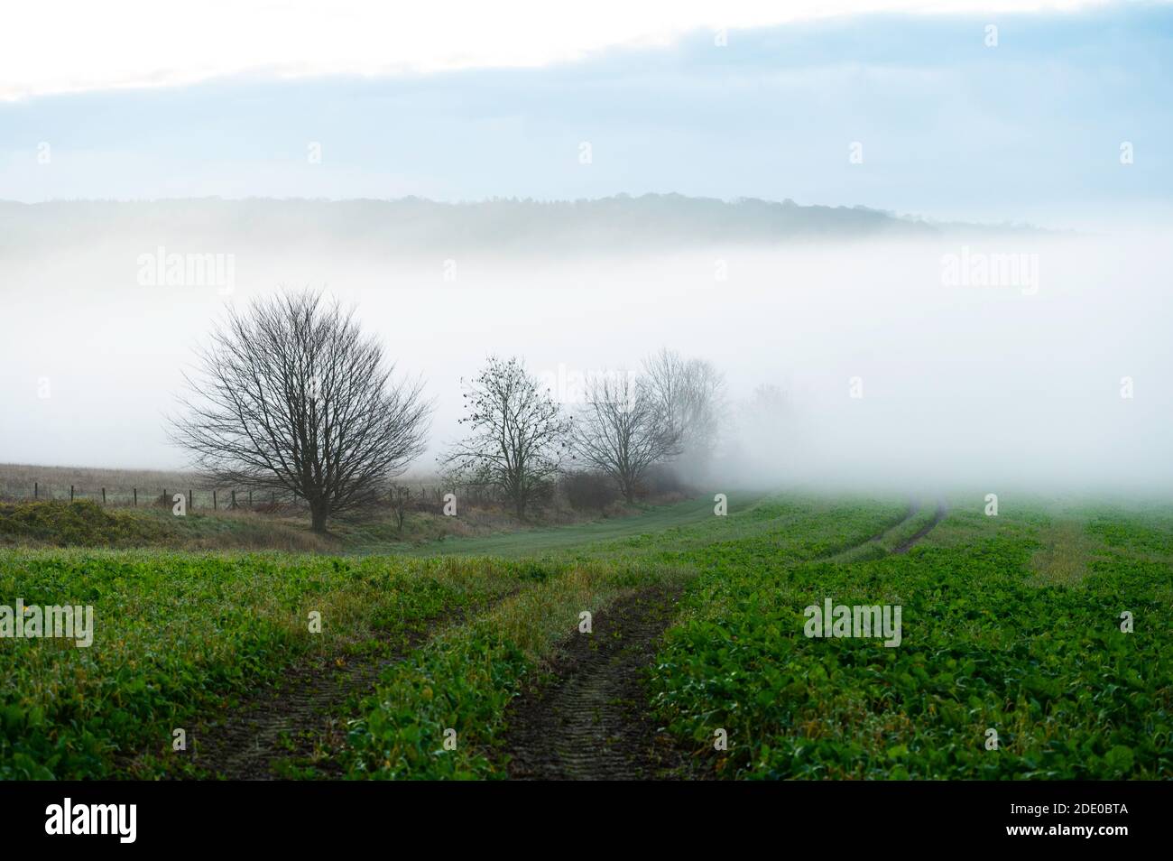 Winter countryside through mist hi-res stock photography and images - Alamy