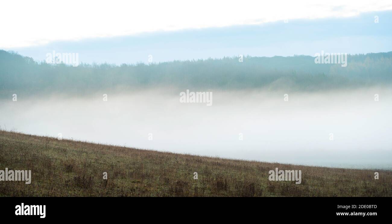 Early morning mist rolling through English countryside Stock Photo - Alamy