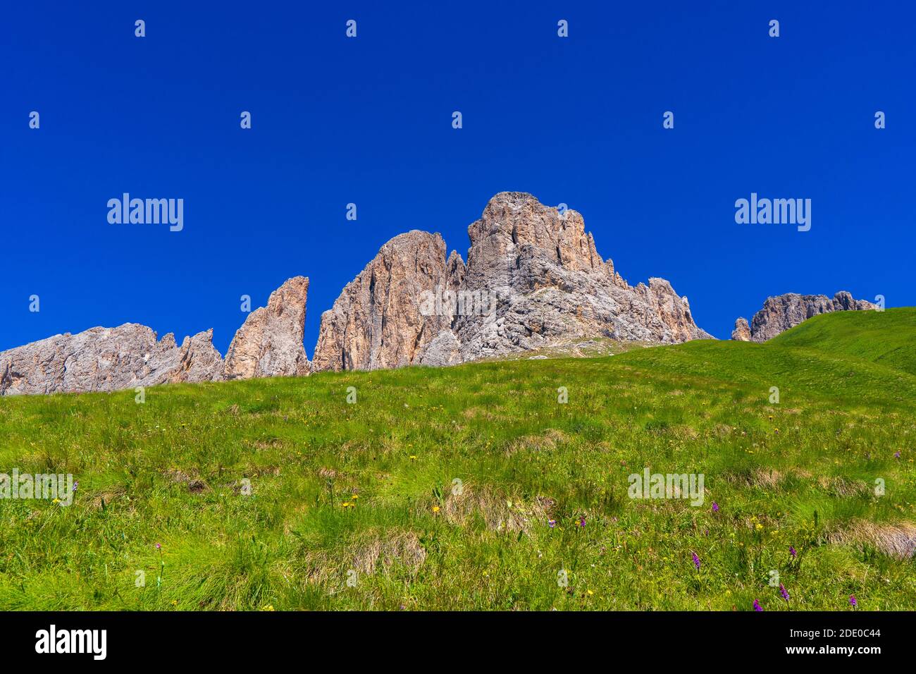Incredible nature landscape in Dolomites Alps. Spring blooming meadow ...
