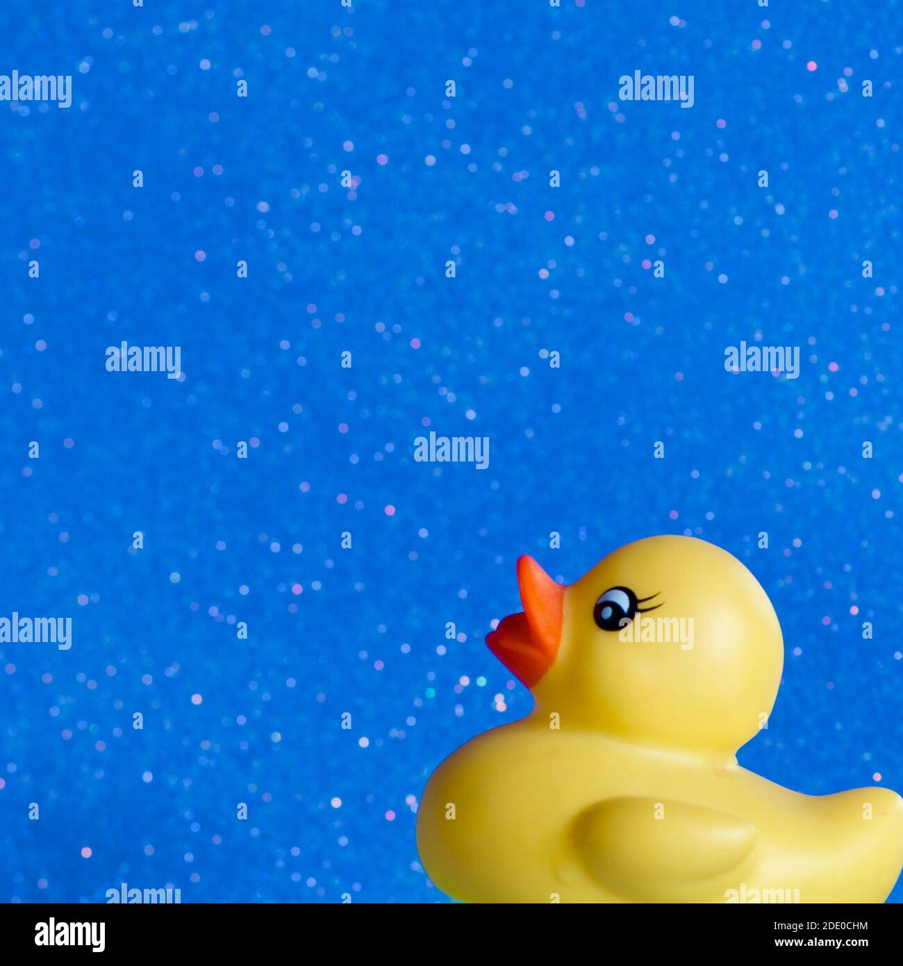 Rubber Duck in Profile on a Blue Background Stock Photo - Alamy