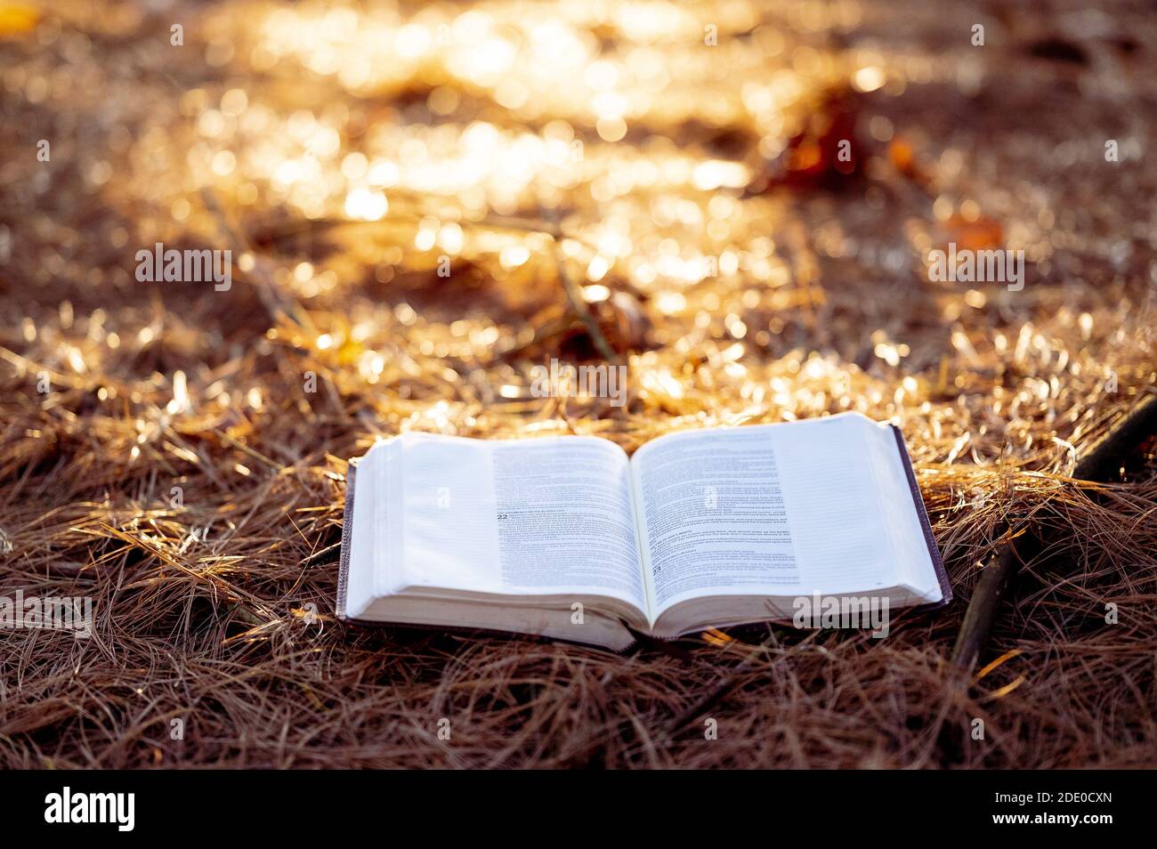 An open book on the ground illuminated by the sunlight - education is a ...