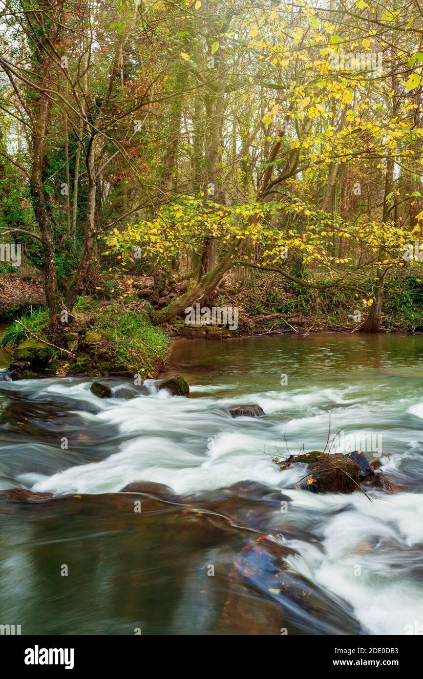 Mells, somerset hi-res stock photography and images - Alamy