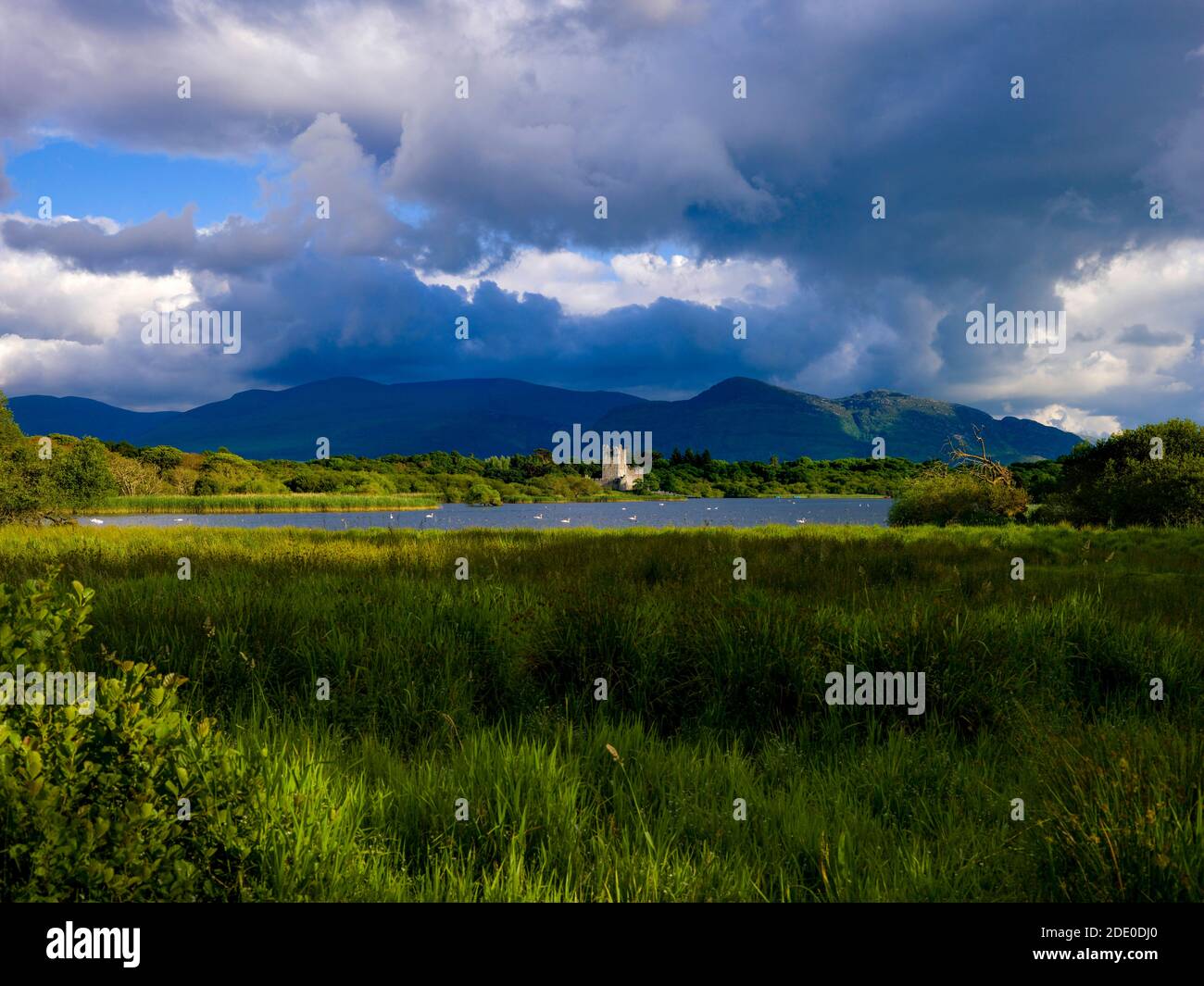 Lough leane ross castle hi-res stock photography and images - Alamy