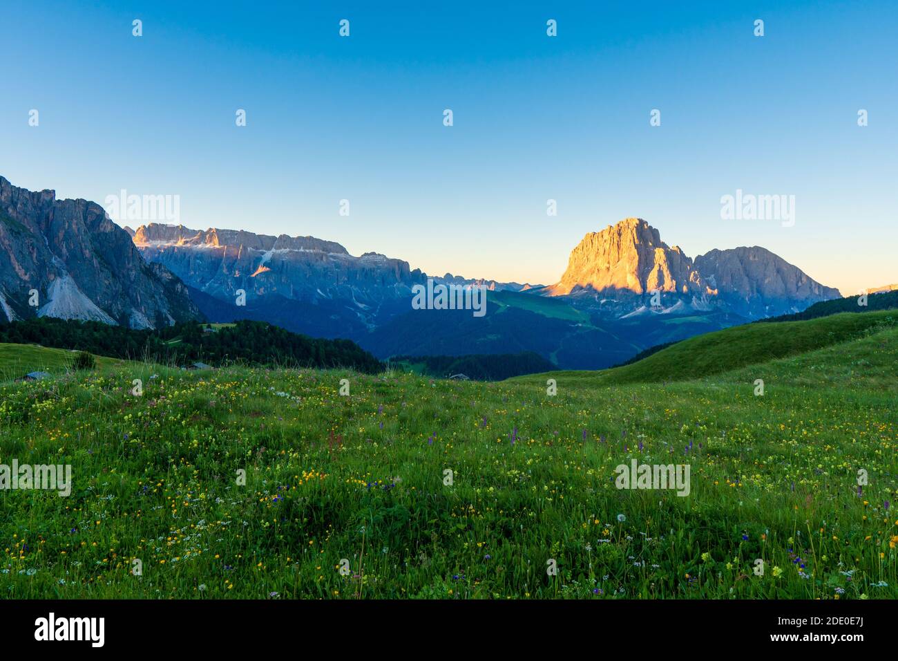 Dolomite mountain landscape at sunrise from Seceda peak, Italy Stock ...