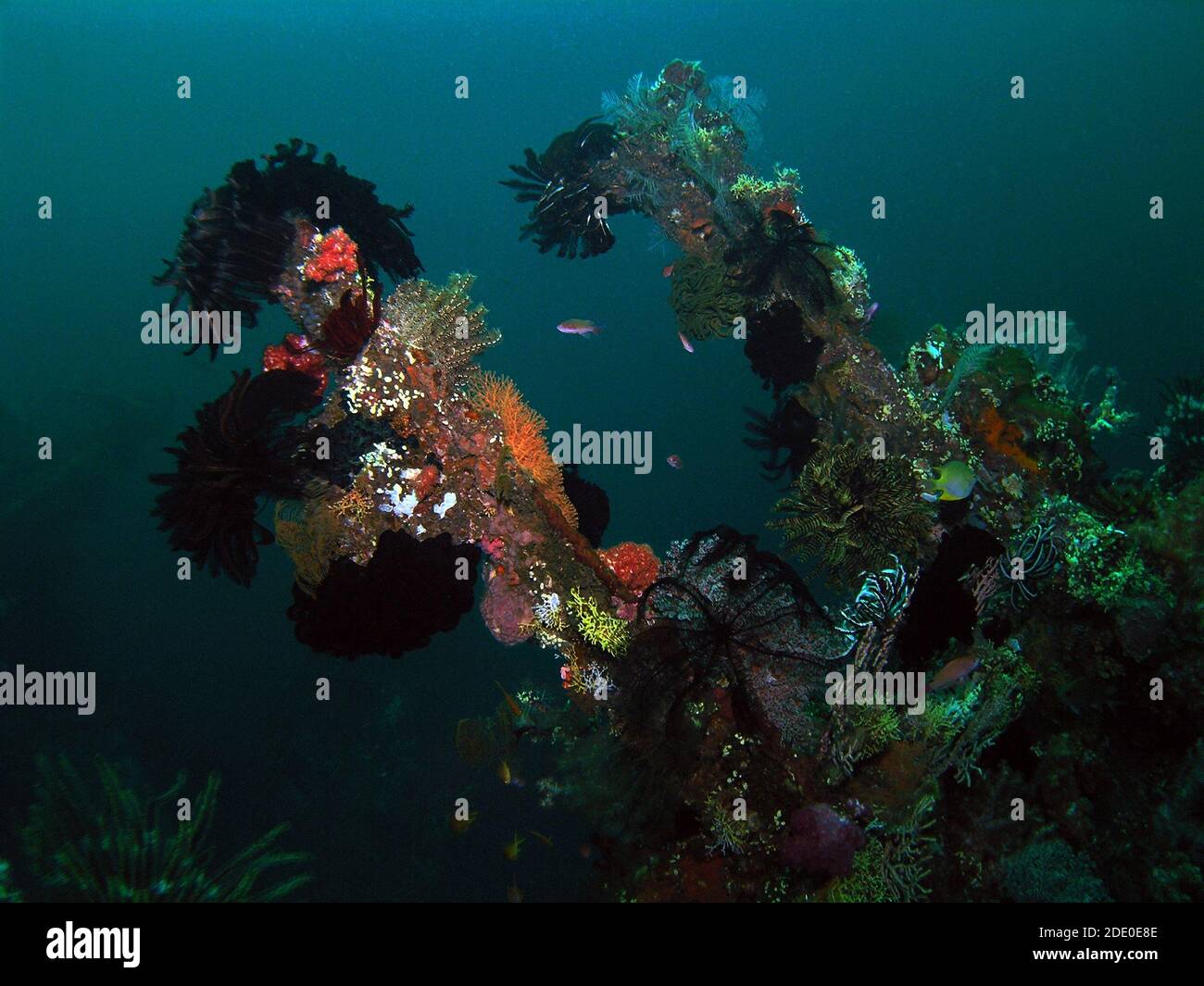 USS Liberty shipwreck, Tulamben beach, Bali Island, Indonesia Stock ...