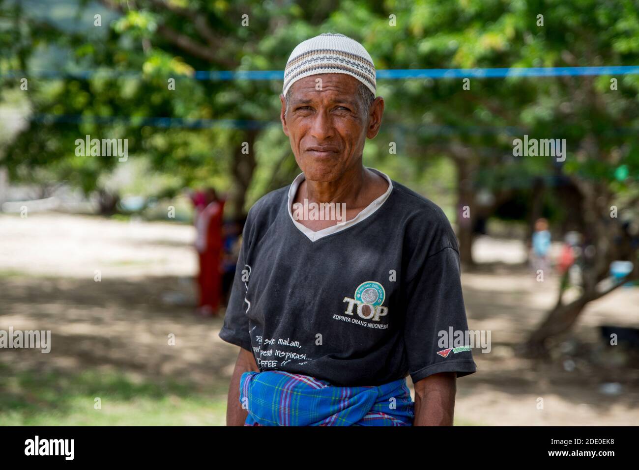 A Paradise island, tropical beach, emerald green sea with beach trees ...